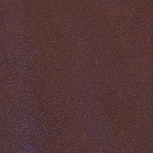 Leather-Lined Goatskin Style | Leonard's Book Restoration
