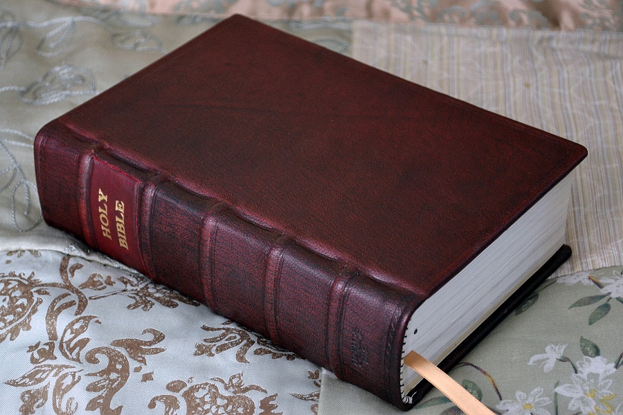 16th Century Geneva Style | Leonard's Book Restoration