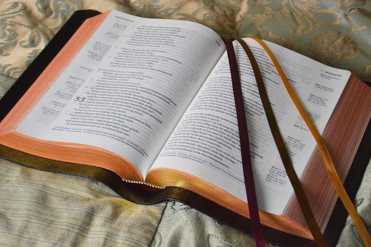 Classy Look | Leonard's Book Restoration